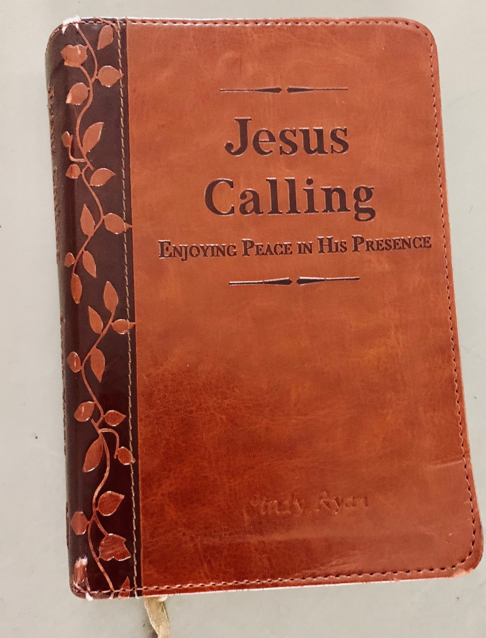 A Journal of Healing - Jesus Calling
