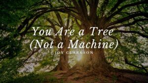The Jesus Calling Blog - stories from people inspired by Jesus Calling