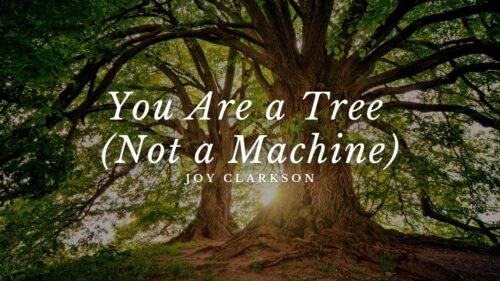 The Jesus Calling Blog - stories from people inspired by Jesus Calling